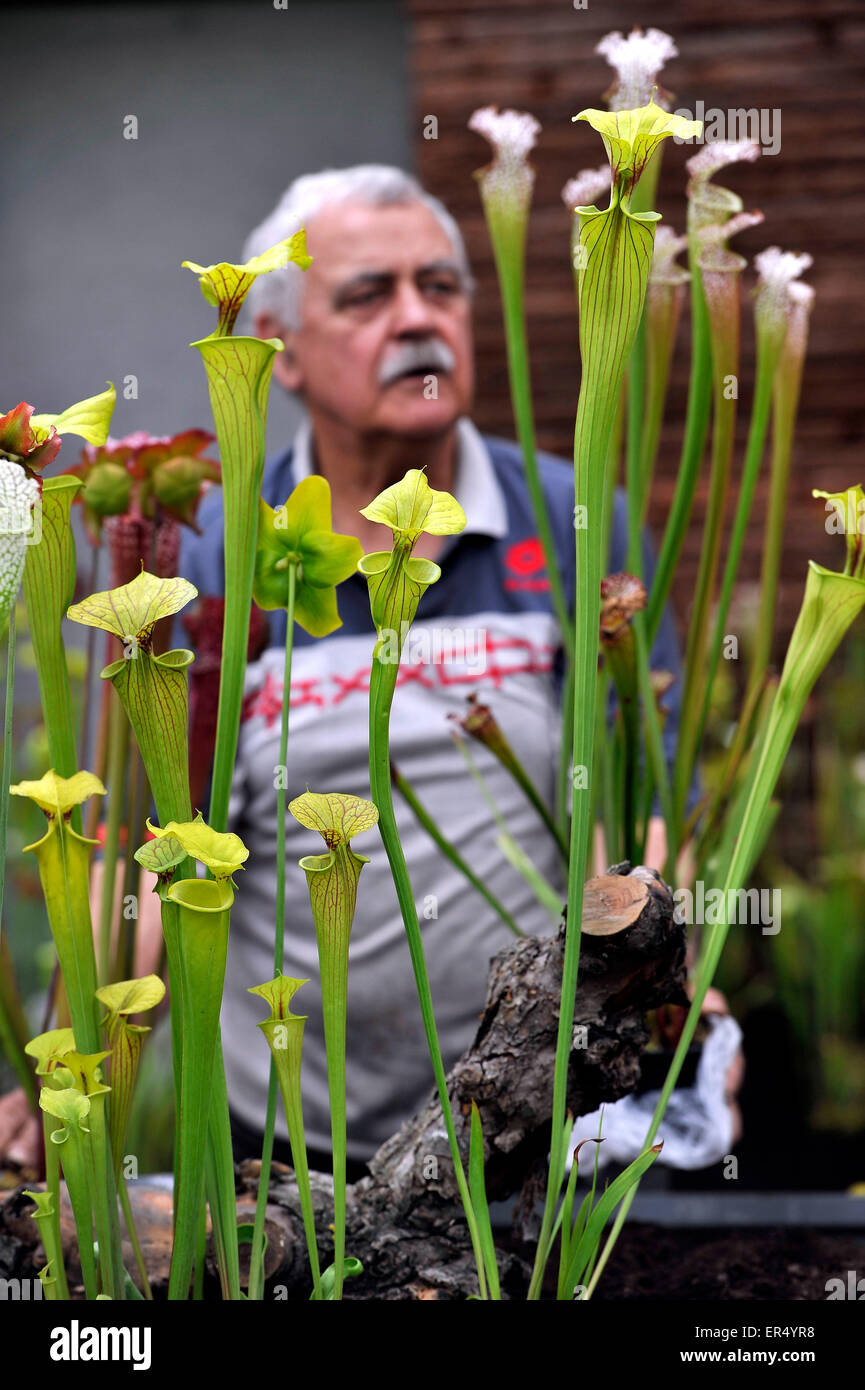 Brno, Czech Republic. 27th May, 2015. An exhibition of carnivorous ...