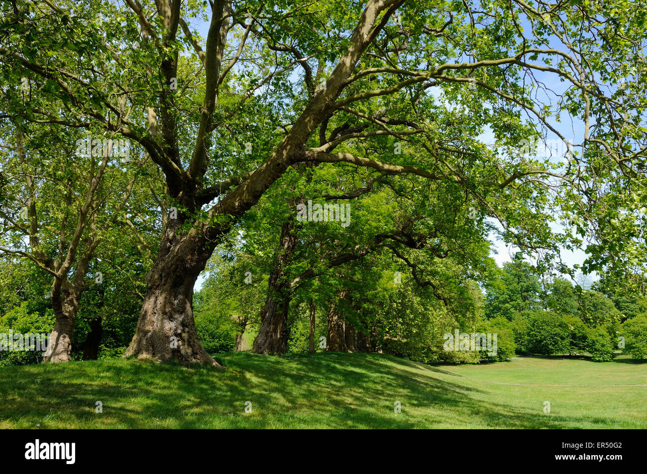 Heritage park row hi-res stock photography and images - Alamy
