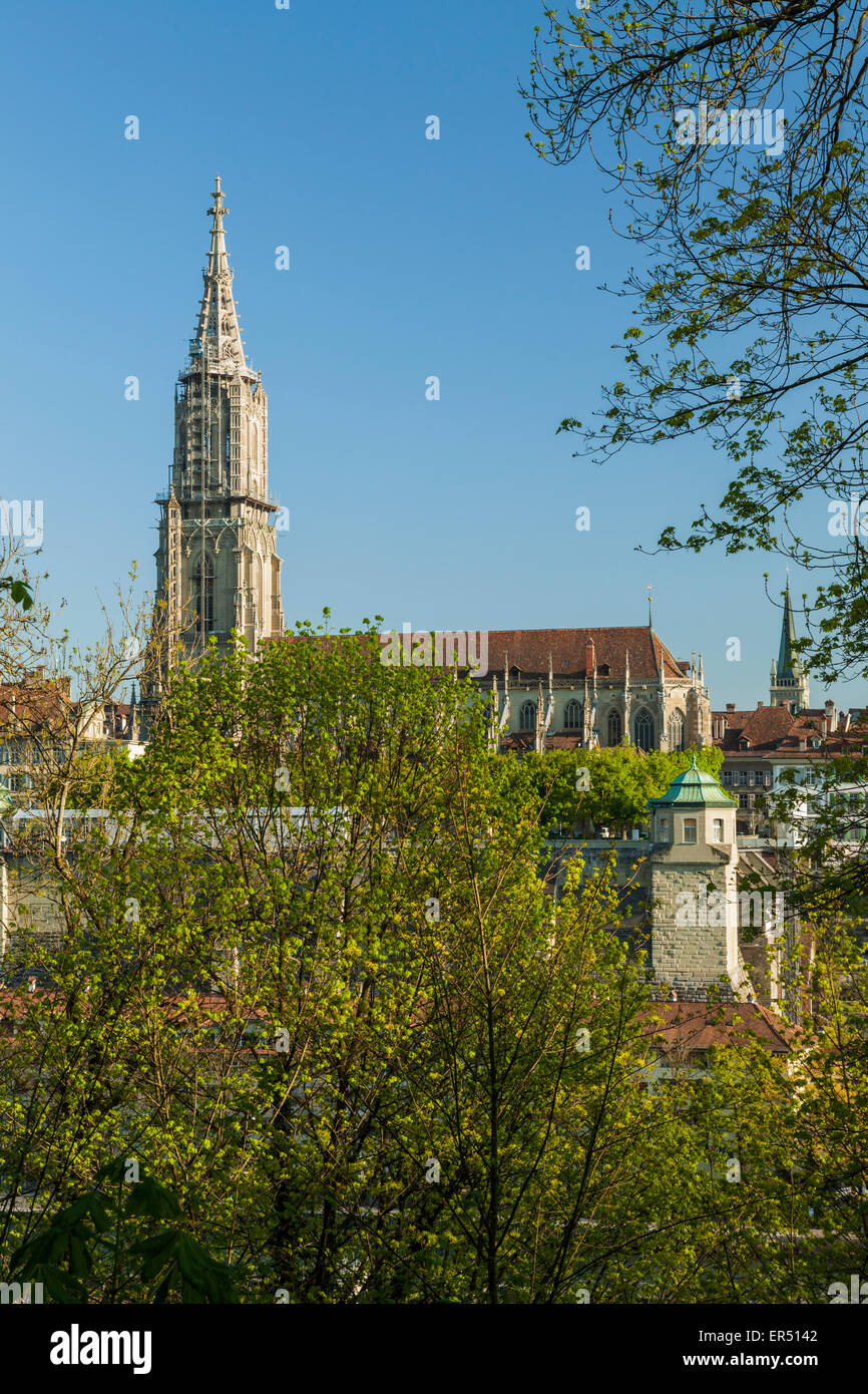Bern cathedral hi-res stock photography and images - Alamy