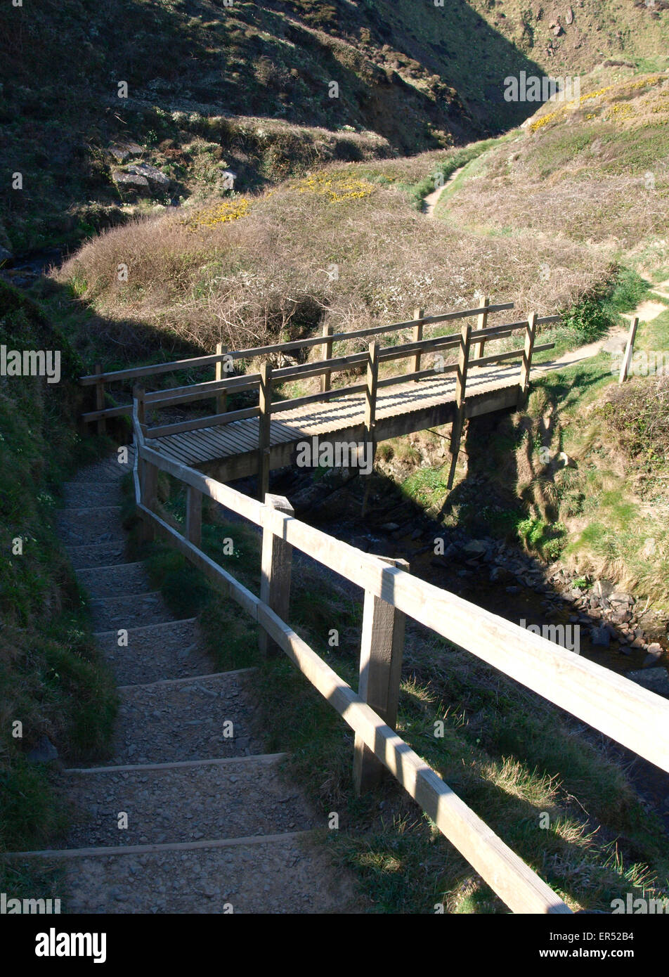 Wooden footbridge over river which is the border between North Devon ...