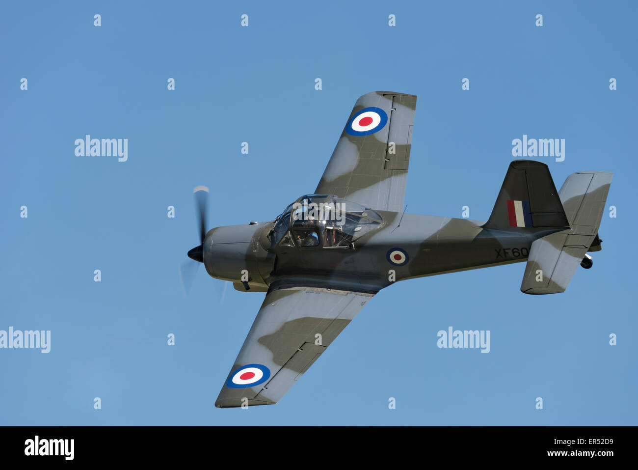 1955 Percival Provost T.1 Trainer, The Shuttleworth Collection, Old ...