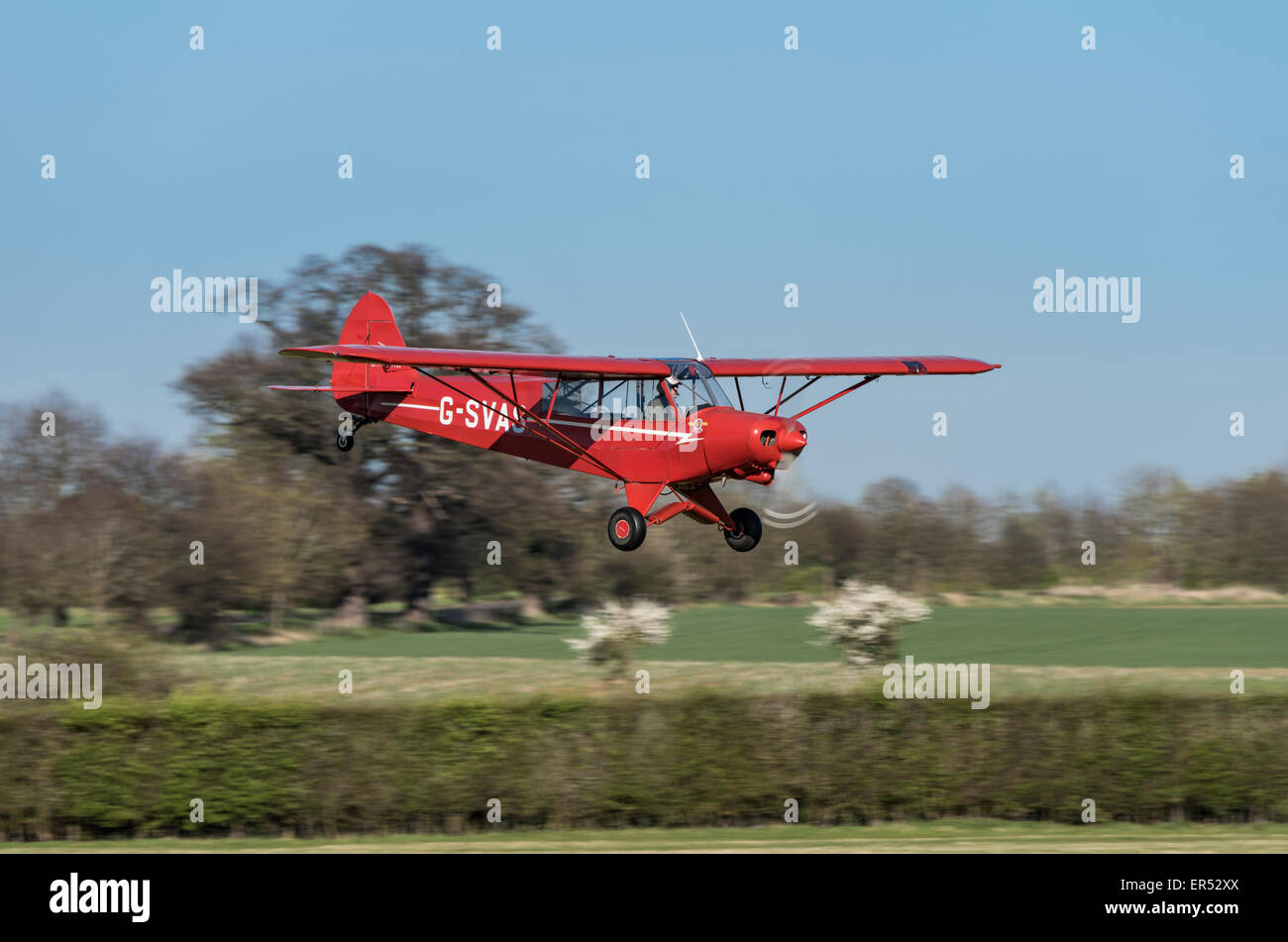 Piper super cub hi-res stock photography and images - Alamy