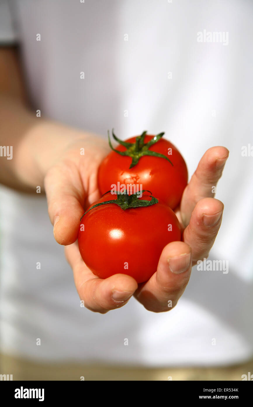 Hand with tomatoes hi-res stock photography and images - Alamy