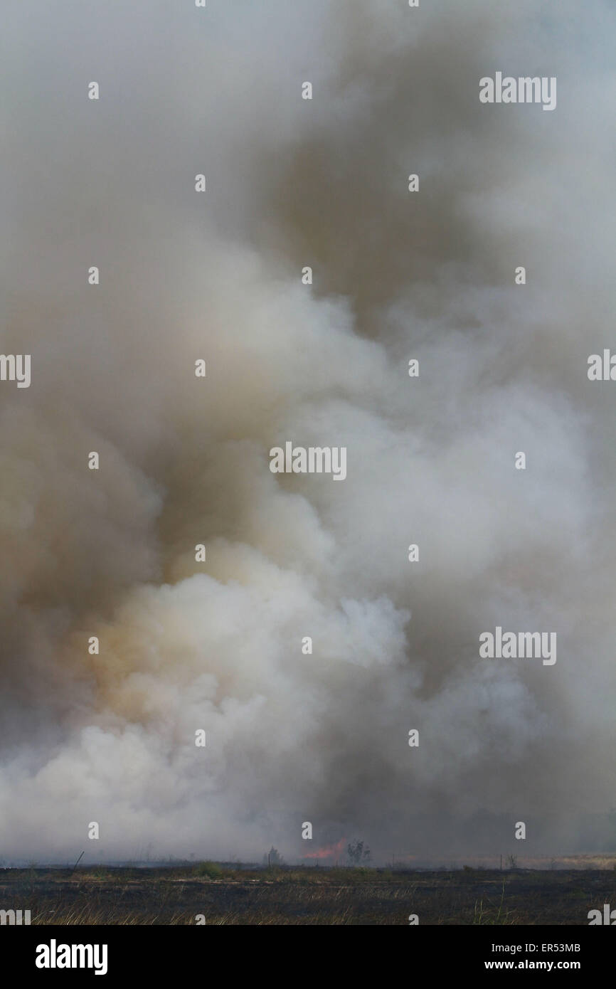 Fast moving grass fires hi-res stock photography and images - Alamy