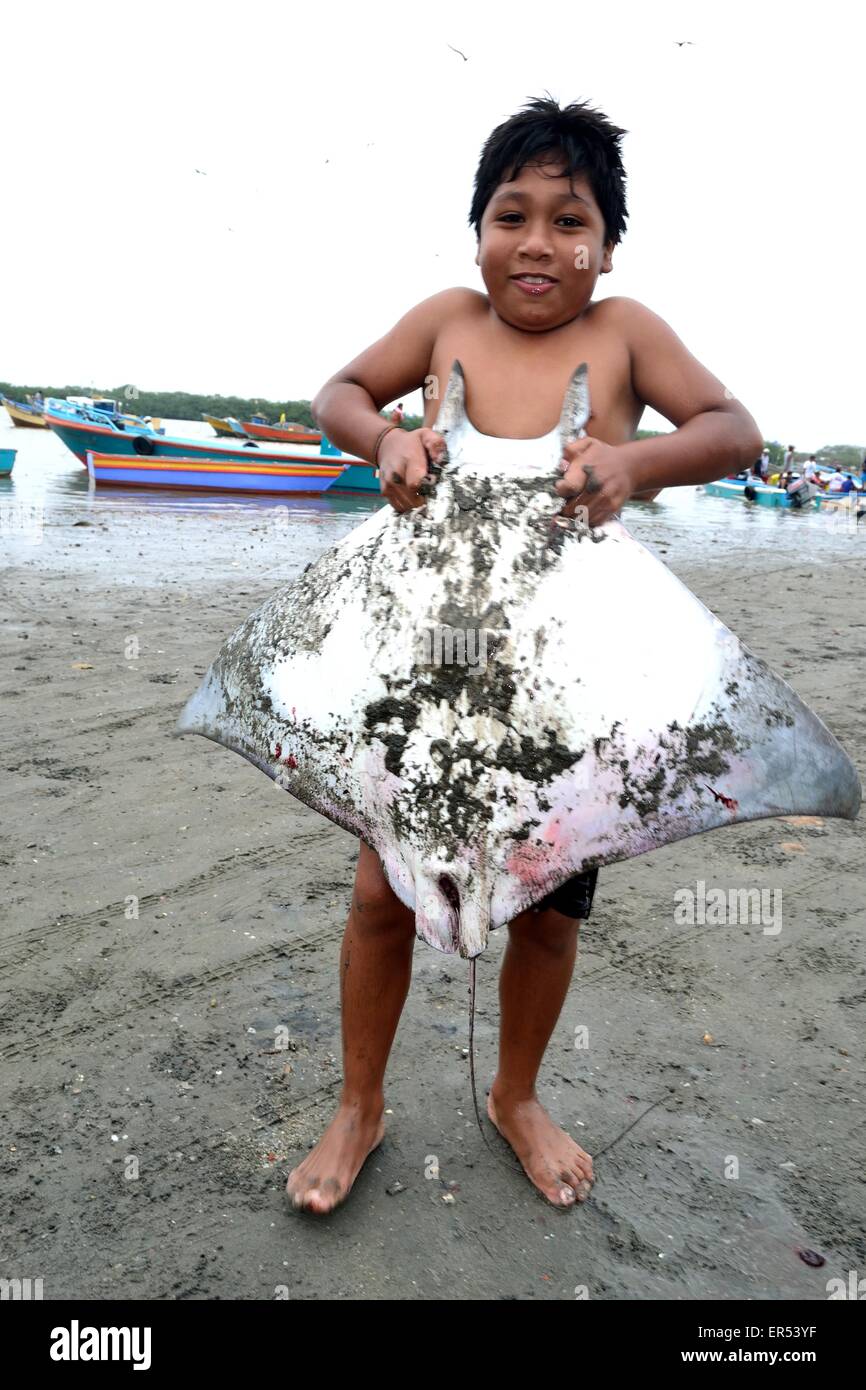 Manta ray peru hi-res stock photography and images - Alamy