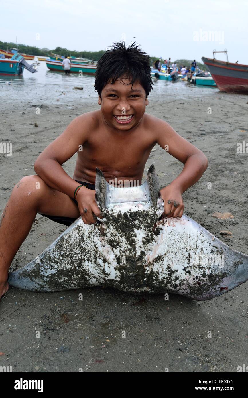 Manta Ray Peru High Resolution Stock Photography and Images - Alamy