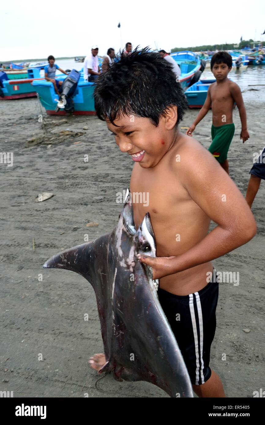 Manta ray peru hi-res stock photography and images - Alamy