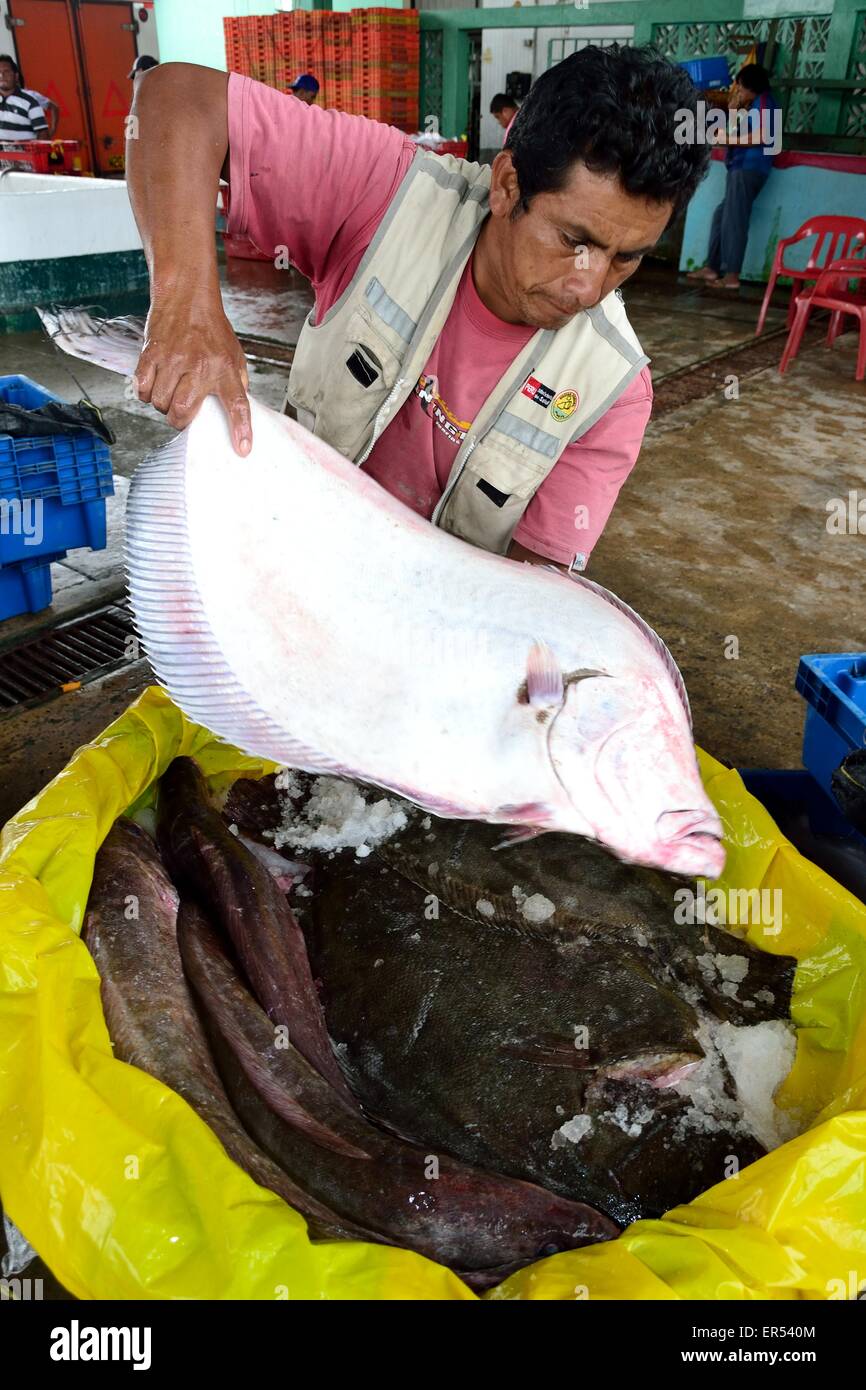 Lenguado hi-res stock photography and images - Alamy