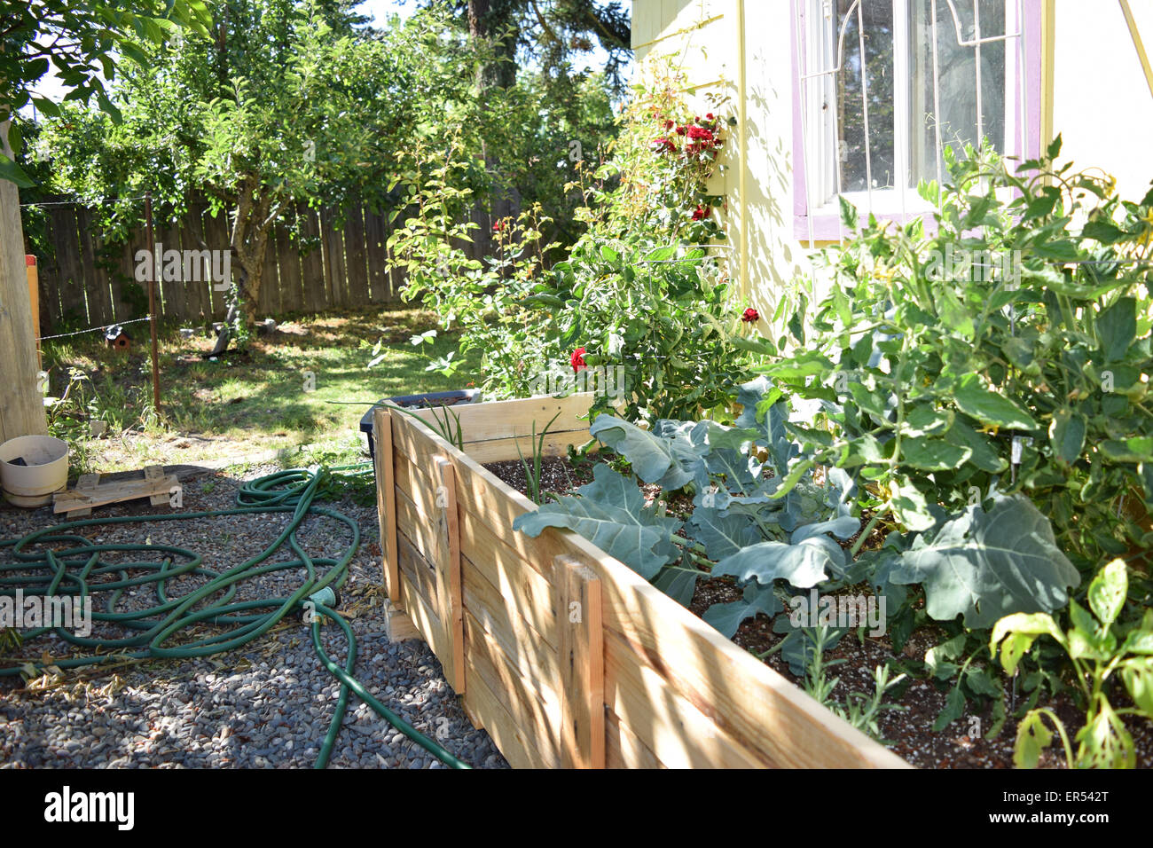 Spirit looking out on garden Stock Photo - Alamy
