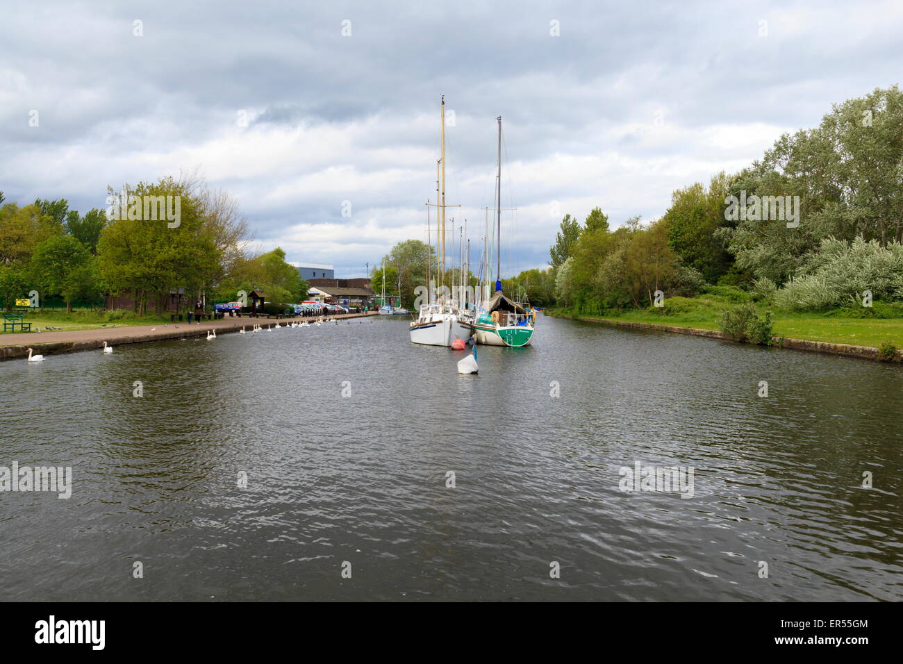 Yachts moored up on the Sankey Canal, Spike Island, Widnes Stock Photo ...