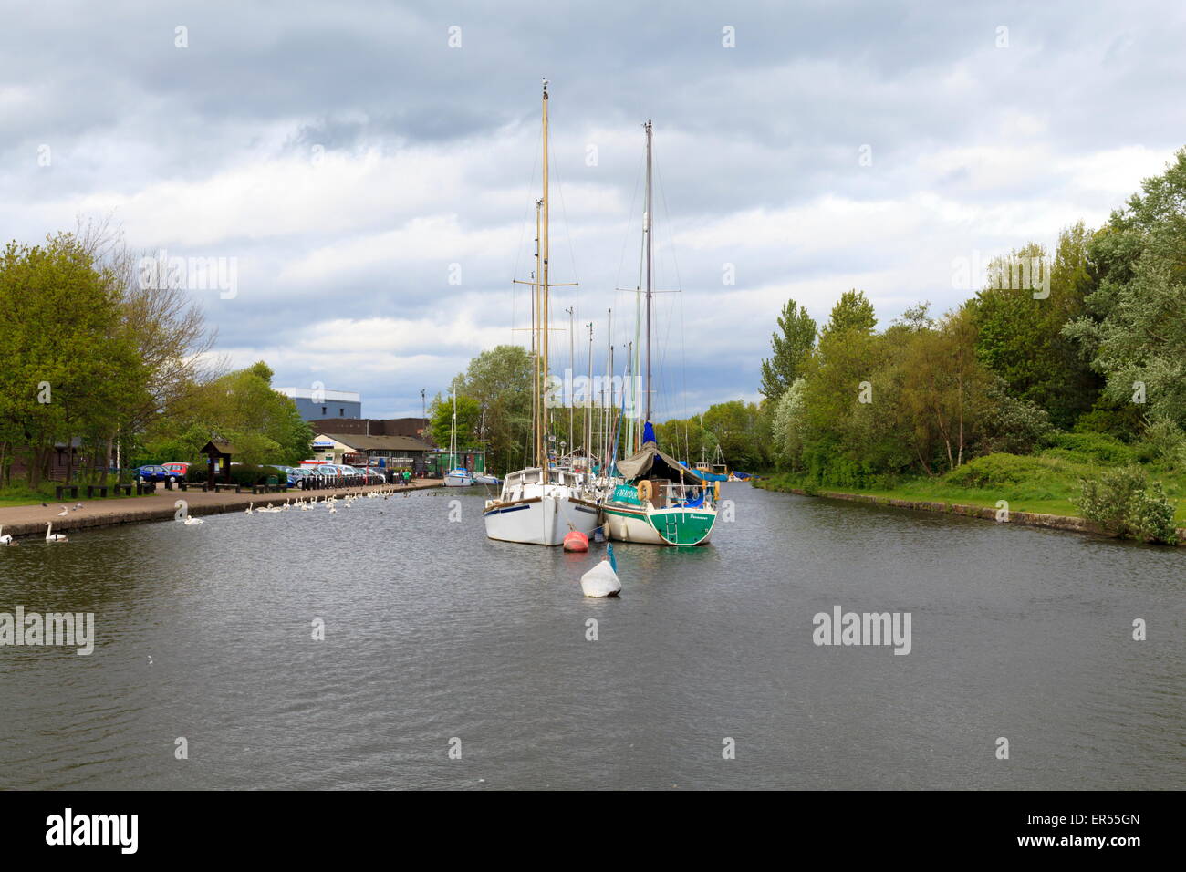 Yachts moored up on the Sankey Canal, Spike Island, Widnes Stock Photo ...