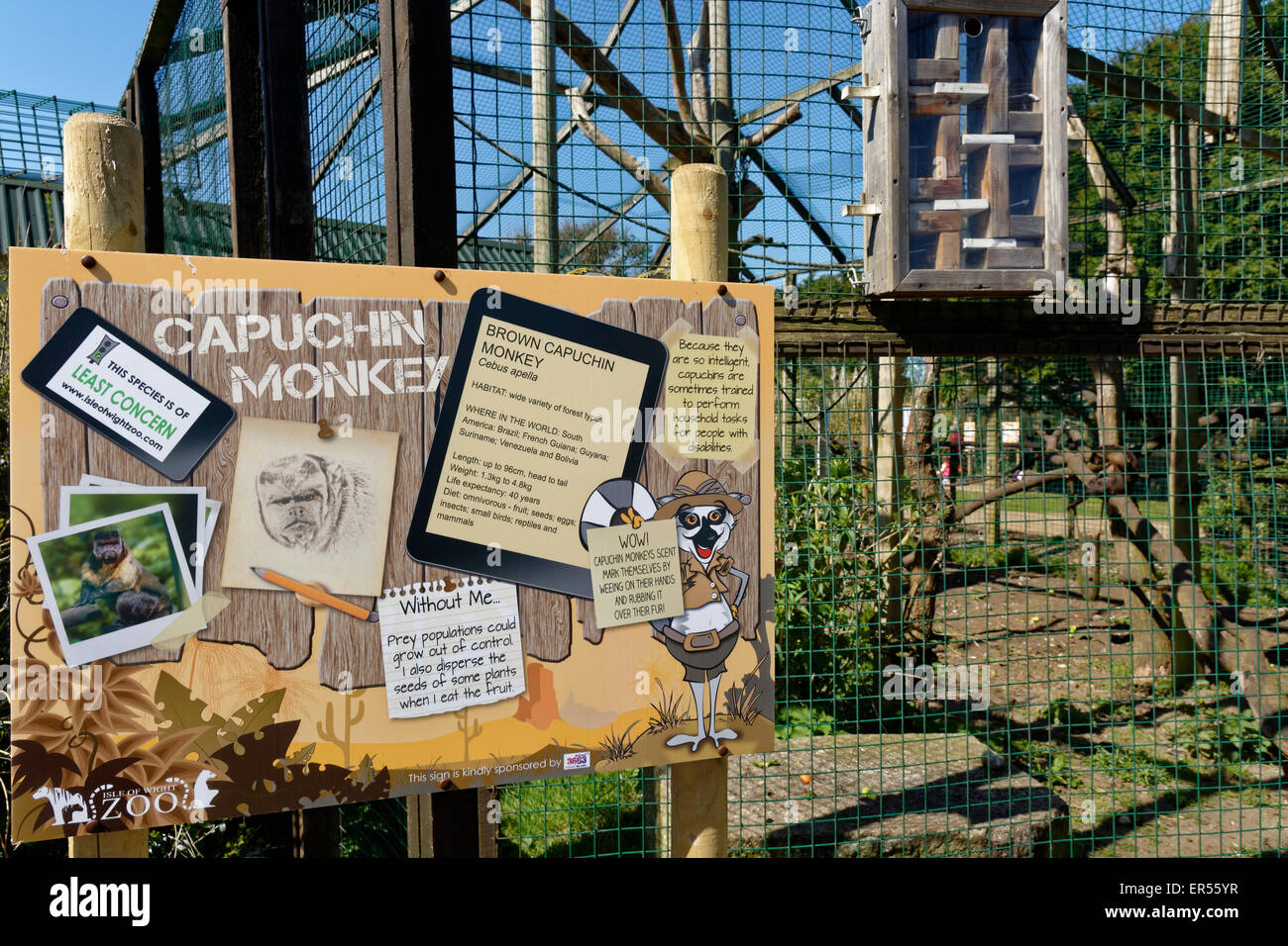 Monkey Area, Sandown Zoo, Sandown, Isle of Wight, England, UK, GB Stock ...