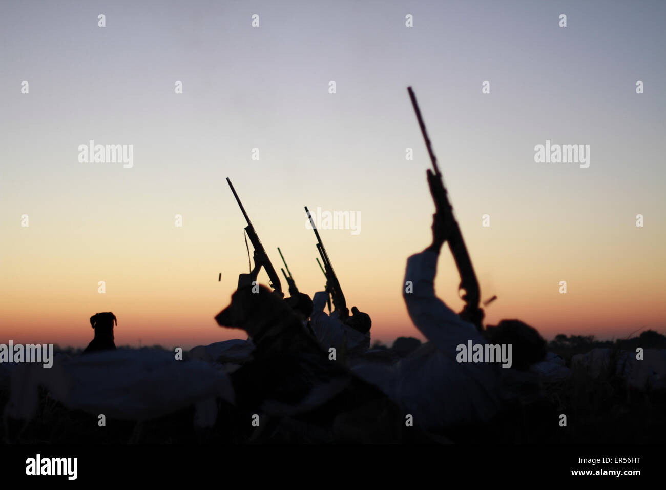 Multiple goose hunters fire into the sky while a hunting dog looks on ...