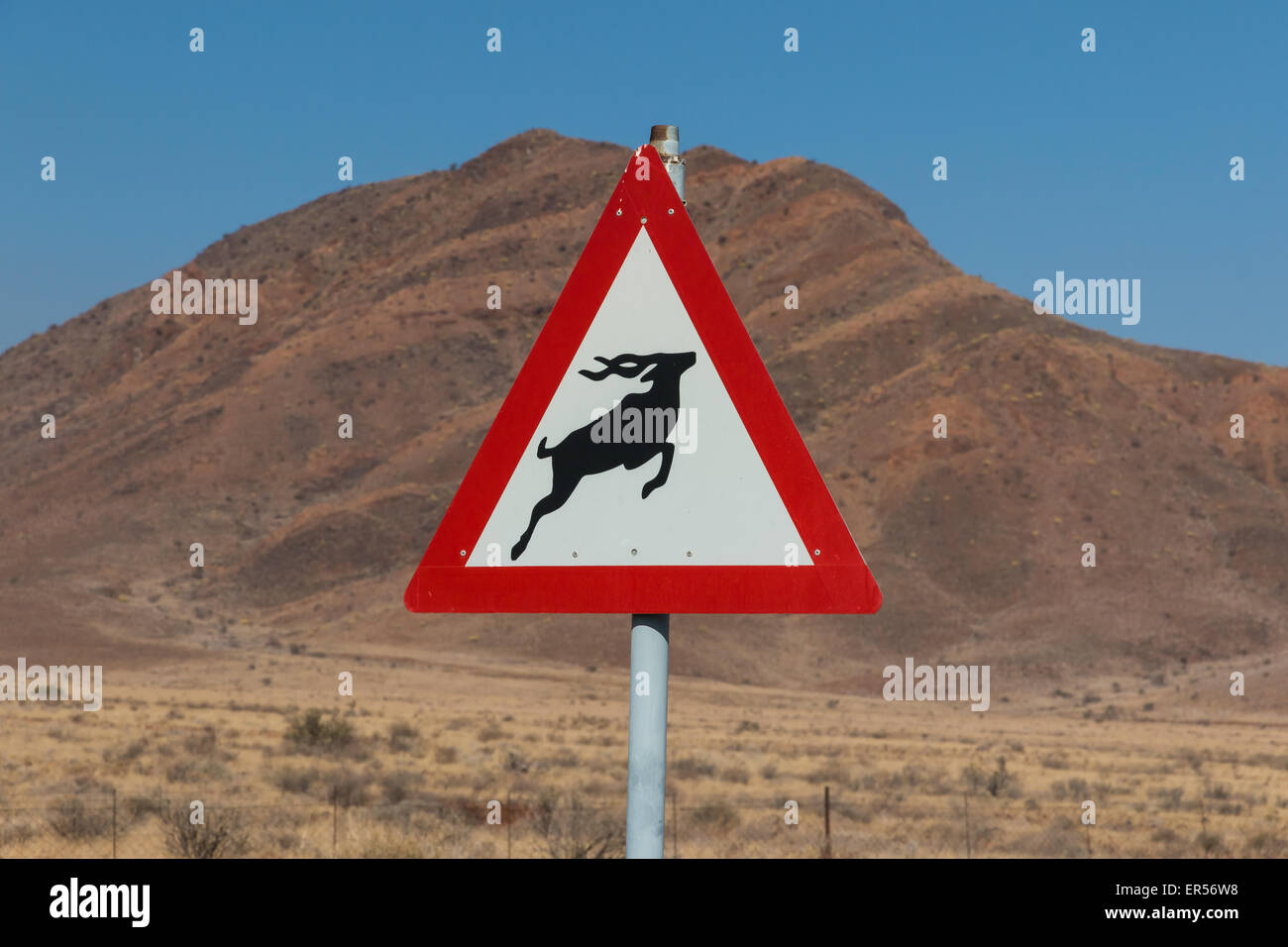 Roadsign warning for antelope crossing the road in africa Stock Photo ...