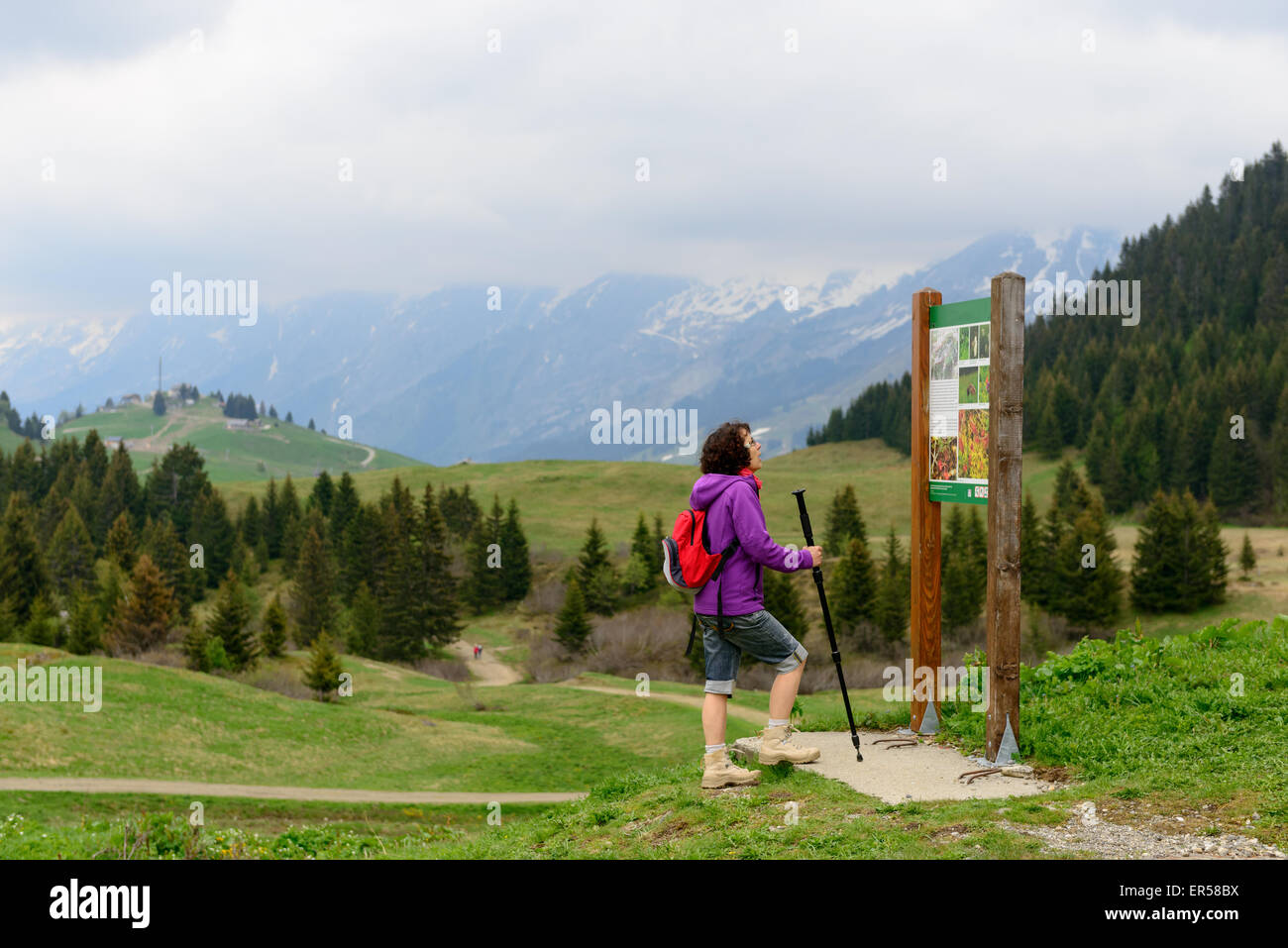 female hiker on a mountain trail Stock Photo - Alamy