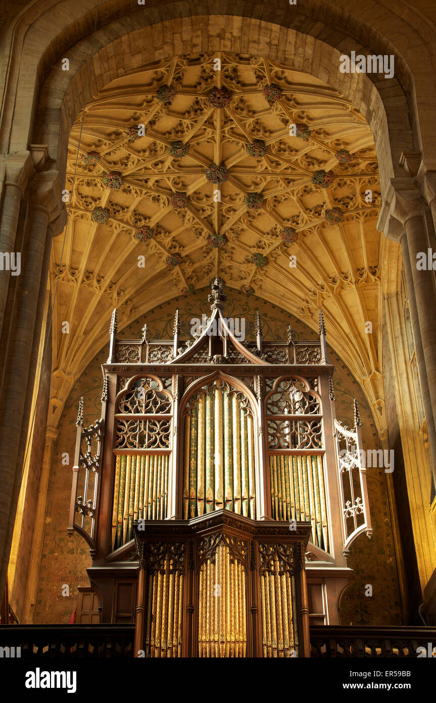 Gray and davison organ hi-res stock photography and images - Alamy