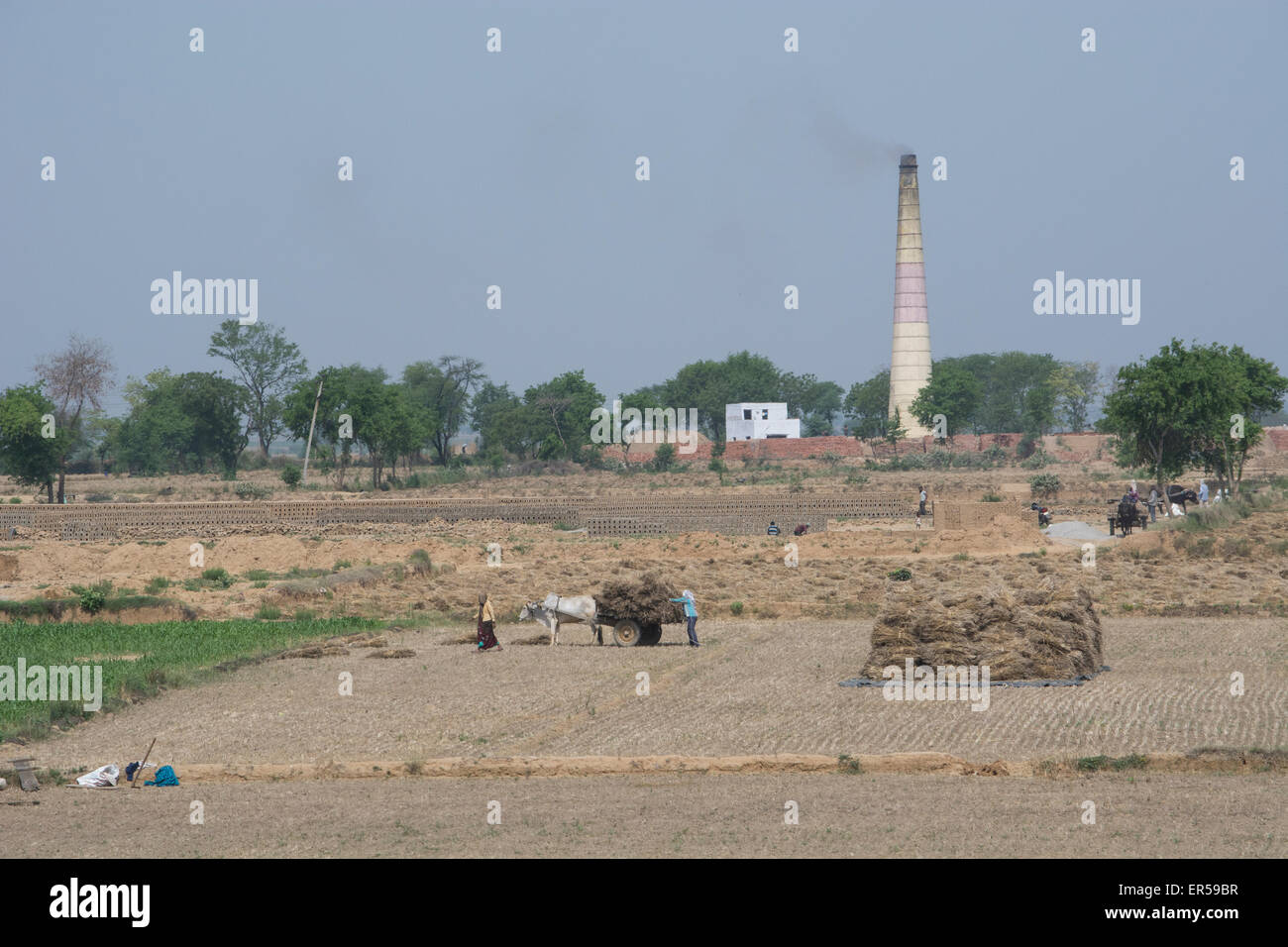 India, countryside views between Agra and Delhi. Brick making in the ...