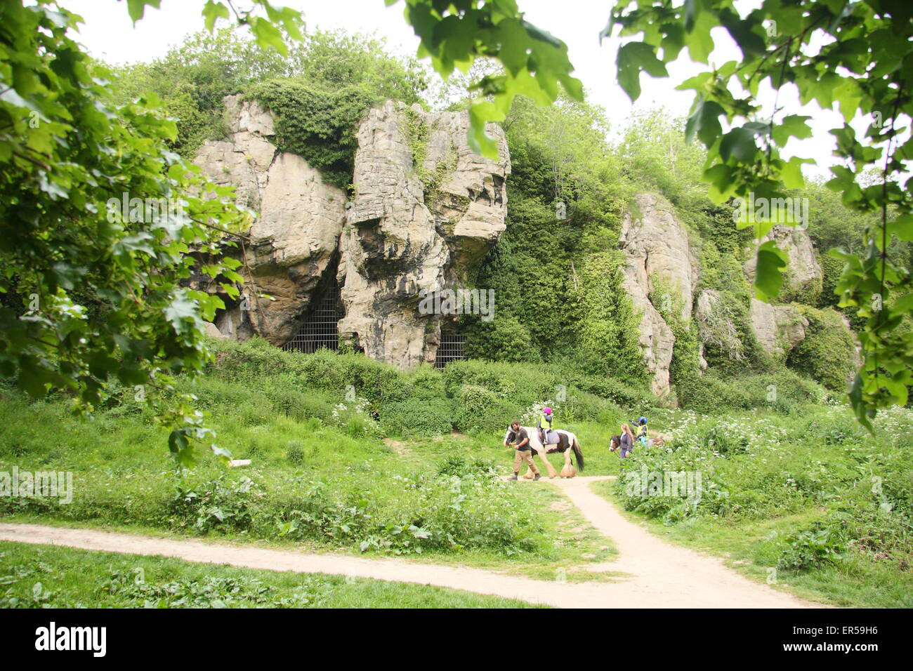 Creswell Crags, limestone gorge and important archaeological site ...