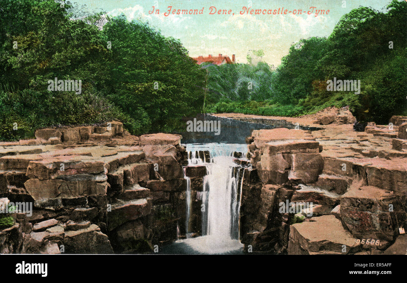 Waterfall, Jesmond Dene, County Durham Stock Photo - Alamy