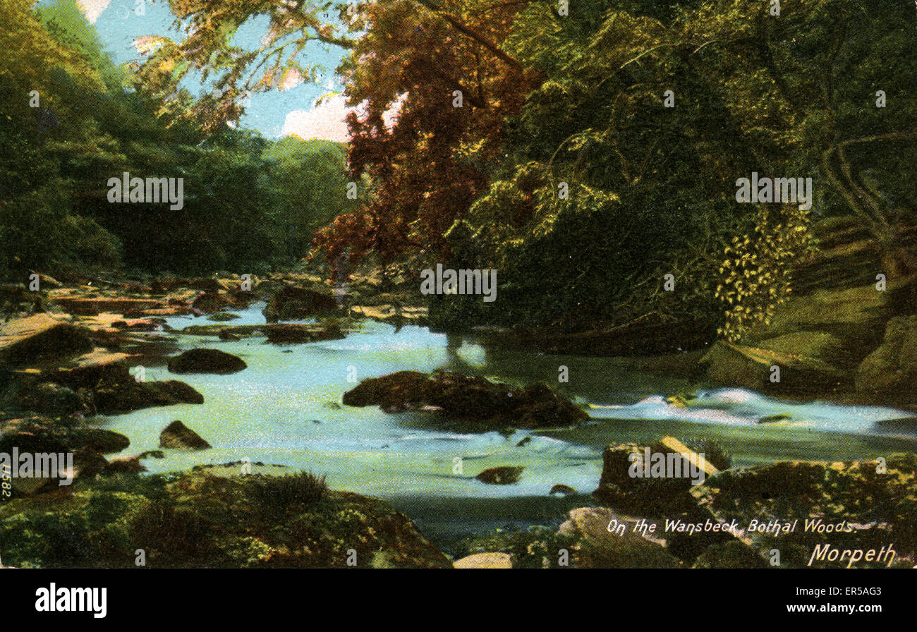 On the Wisbeck, Bothal Woods, Northumberland Stock Photo - Alamy