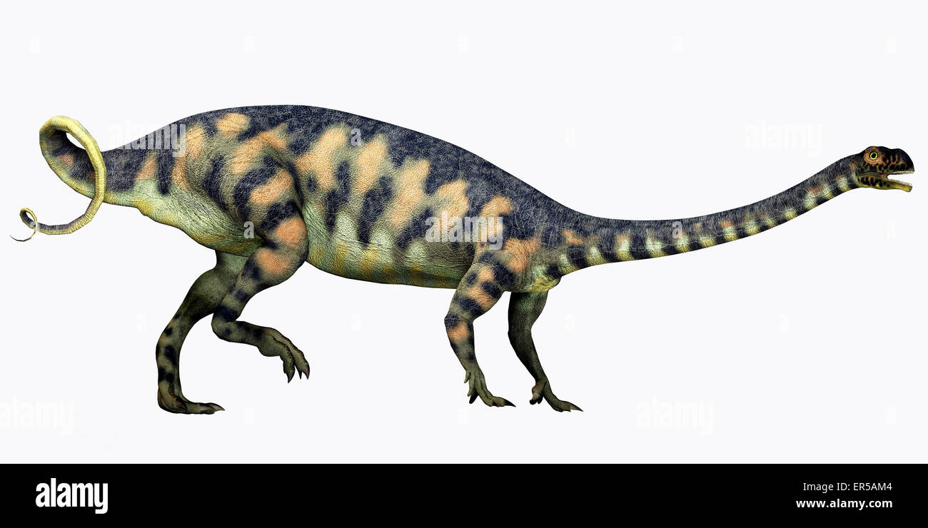 Massospondylus was a herbivorous prosauropod dinosaur that lived during ...
