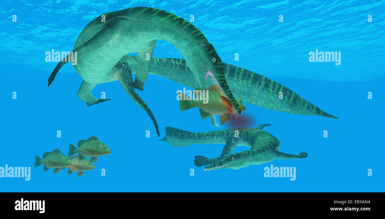 Mesosaurus marine reptile attacks a Mangrove Jack Snapper fish in a ...