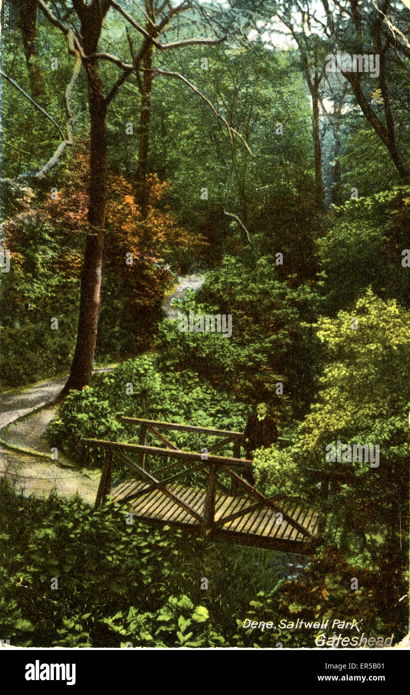 Saltwell park newcastle hi-res stock photography and images - Alamy