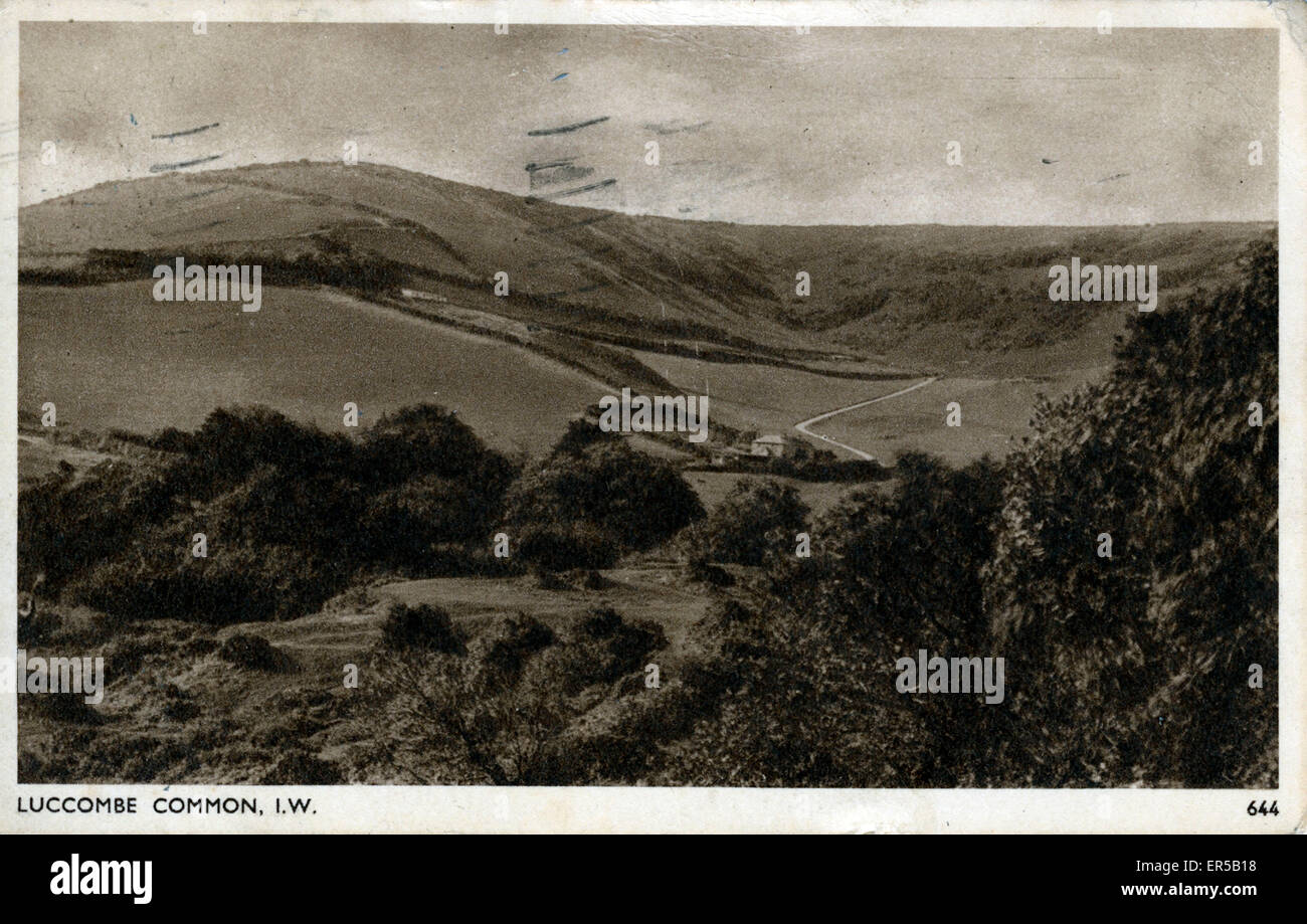 The Common, Luccombe, Somerset Stock Photo - Alamy