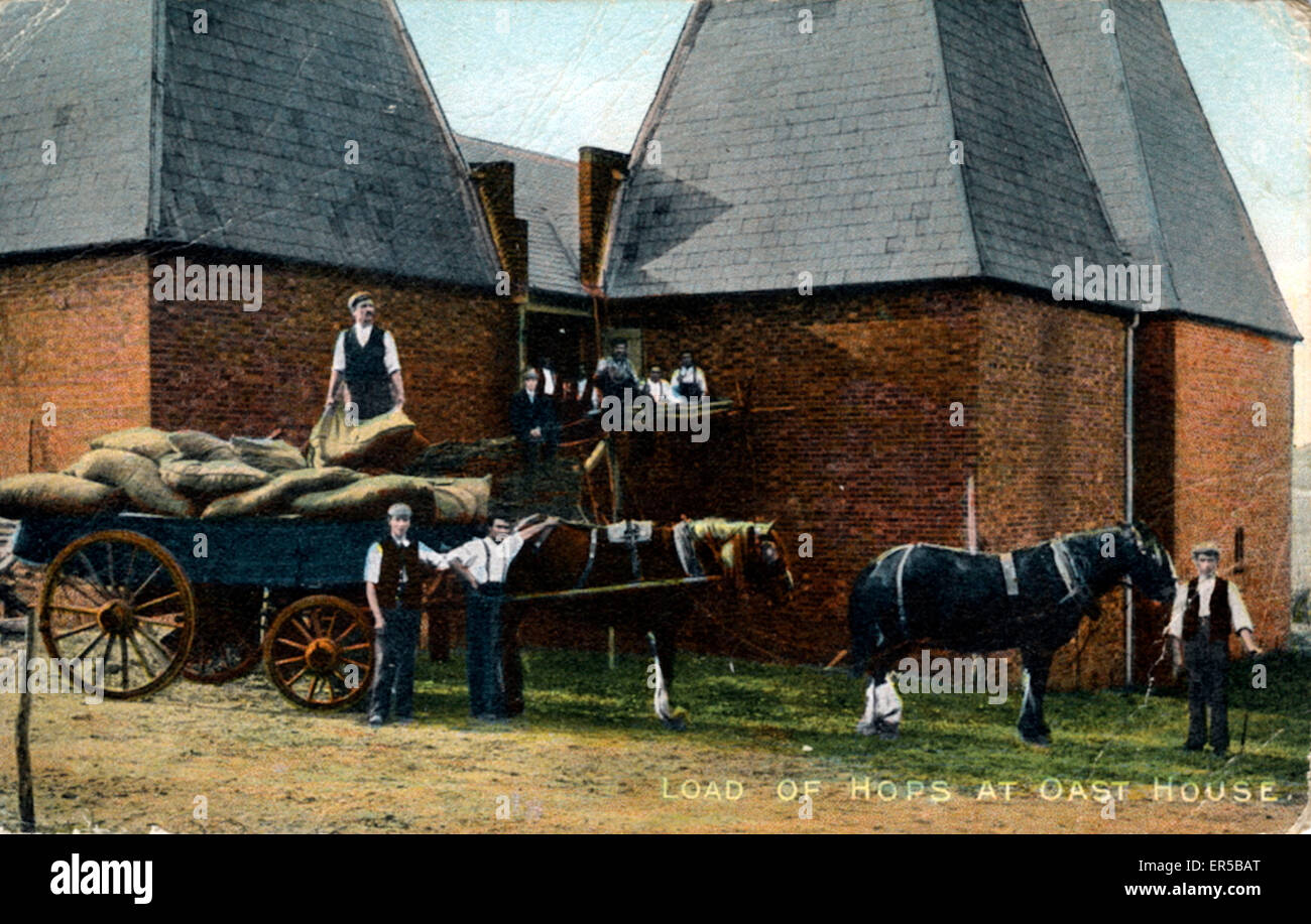 Load of hops at oast house hi-res stock photography and images - Alamy