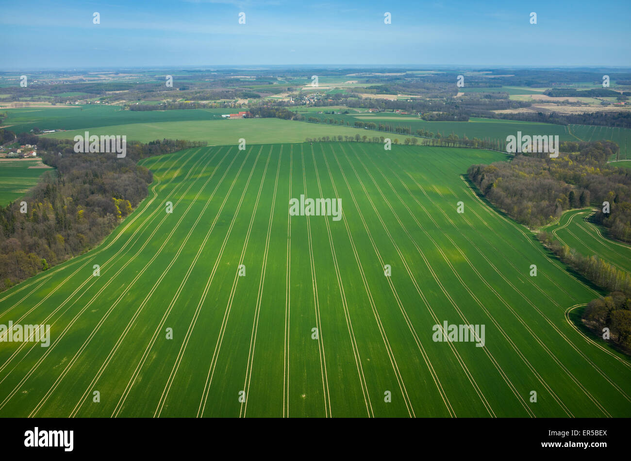 Aerial view of the fresh green field in spring season Stock Photo - Alamy
