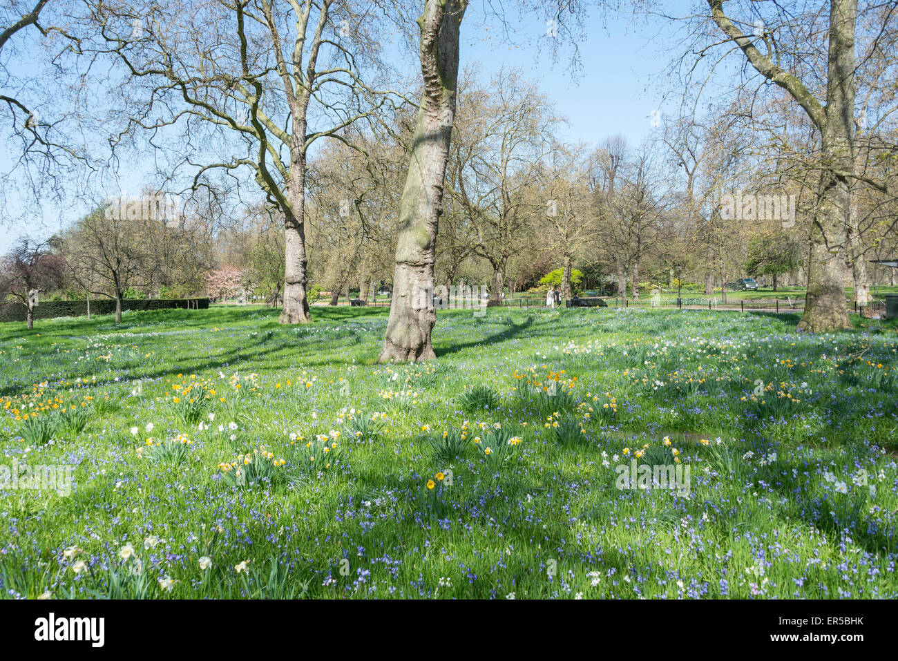 Hyde park london spring flowers hi-res stock photography and images - Alamy