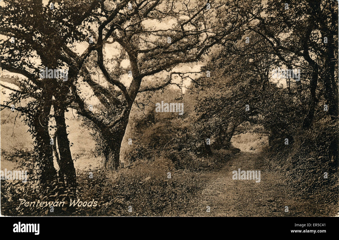 The Woods, Pentewan, Cornwall Stock Photo - Alamy