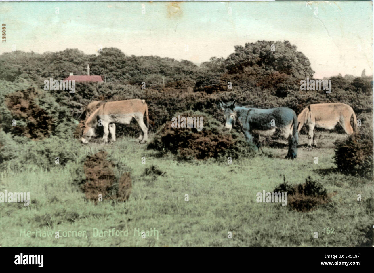 He-haw Corner, Dartford Heath, Dartford, Kent, England. 1920s Stock ...
