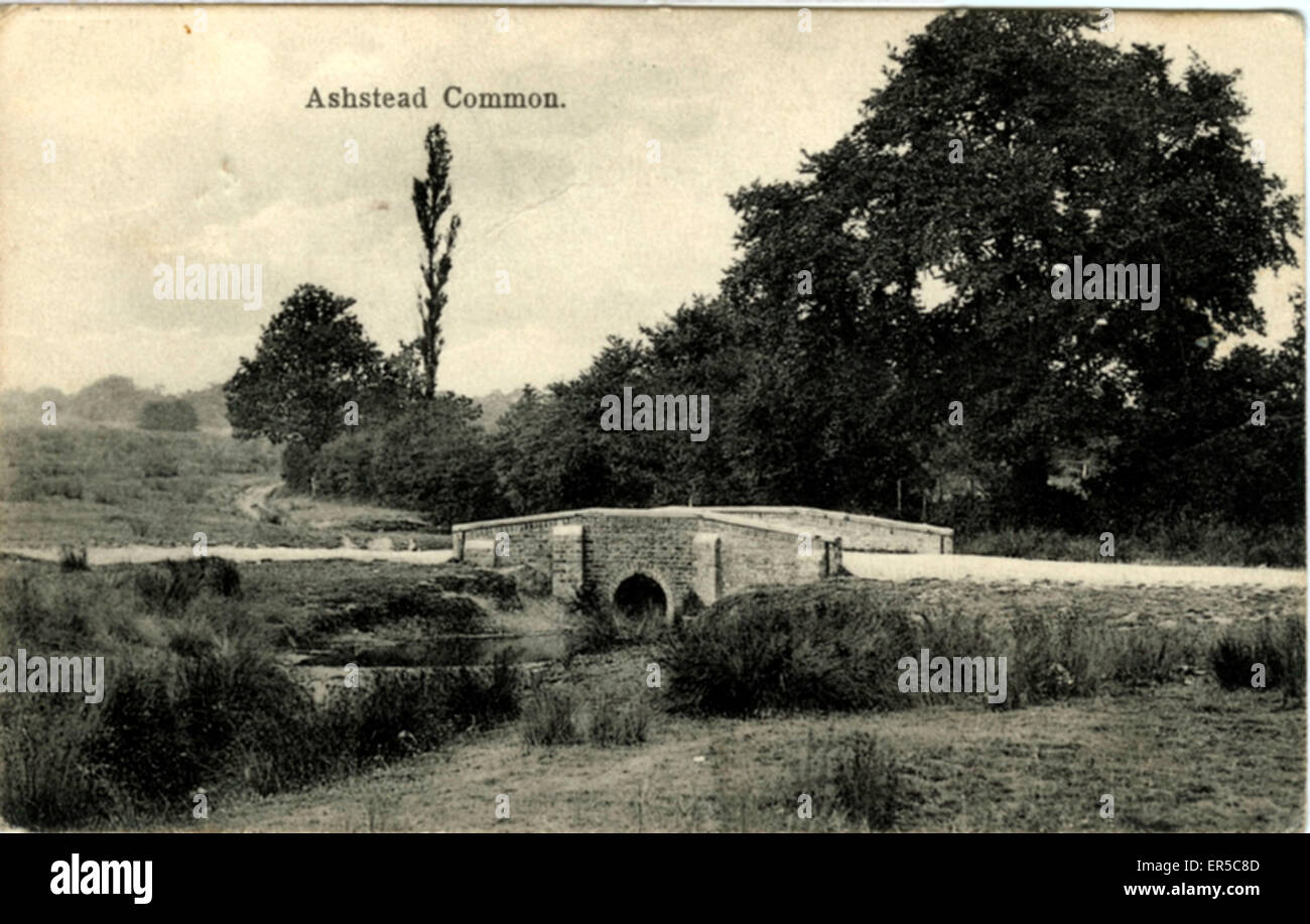 The Bridge, Ashstead Common, Surrey Stock Photo - Alamy