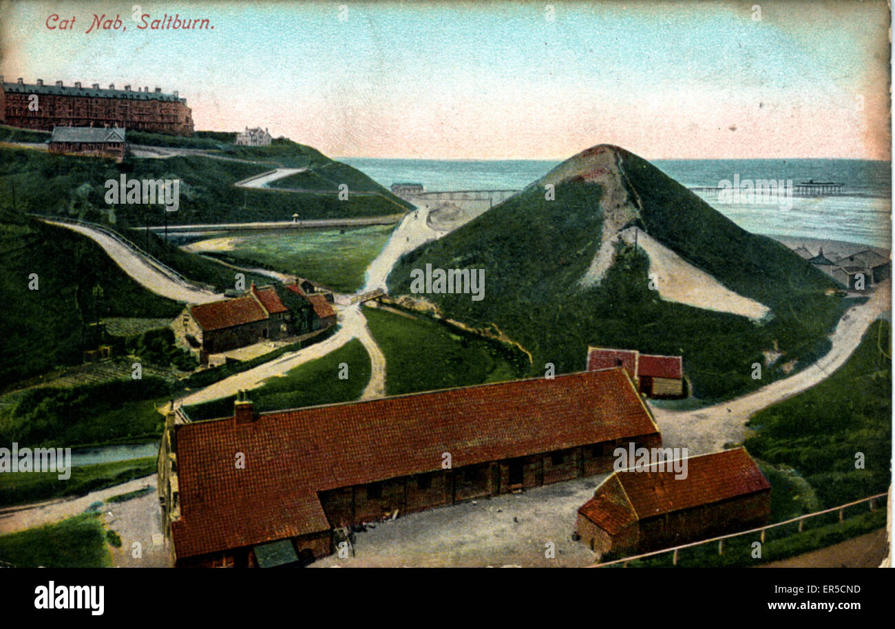 Cat nab hi-res stock photography and images - Alamy