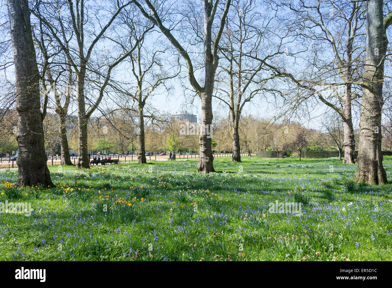 Hyde Park in spring, City of Westminster, London, Greater London ...