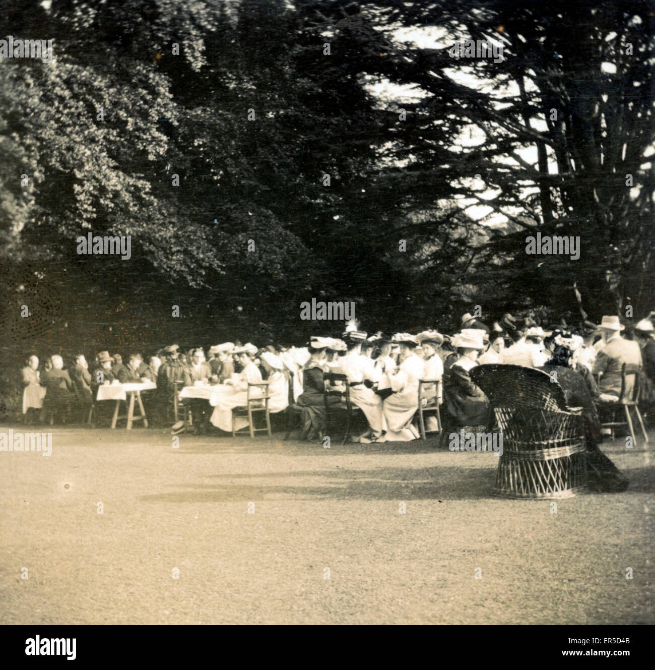 Tea Party, Dinder, Somerset Stock Photo - Alamy