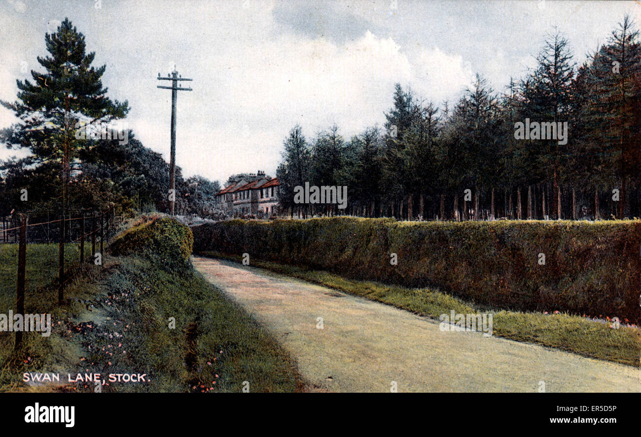 Swan Lane, Stock, Essex Stock Photo - Alamy
