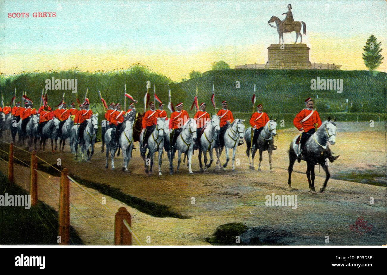 Scots greys hi-res stock photography and images - Alamy