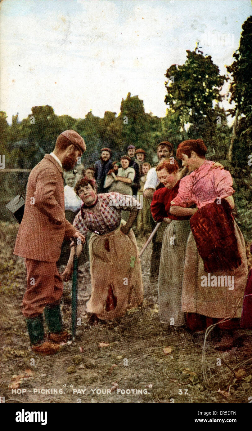 Hop picking kent england hop hi-res stock photography and images - Alamy