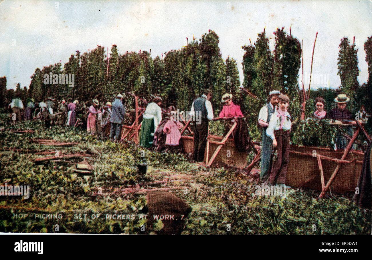 Hop picking kent High Resolution Stock Photography and Images - Alamy