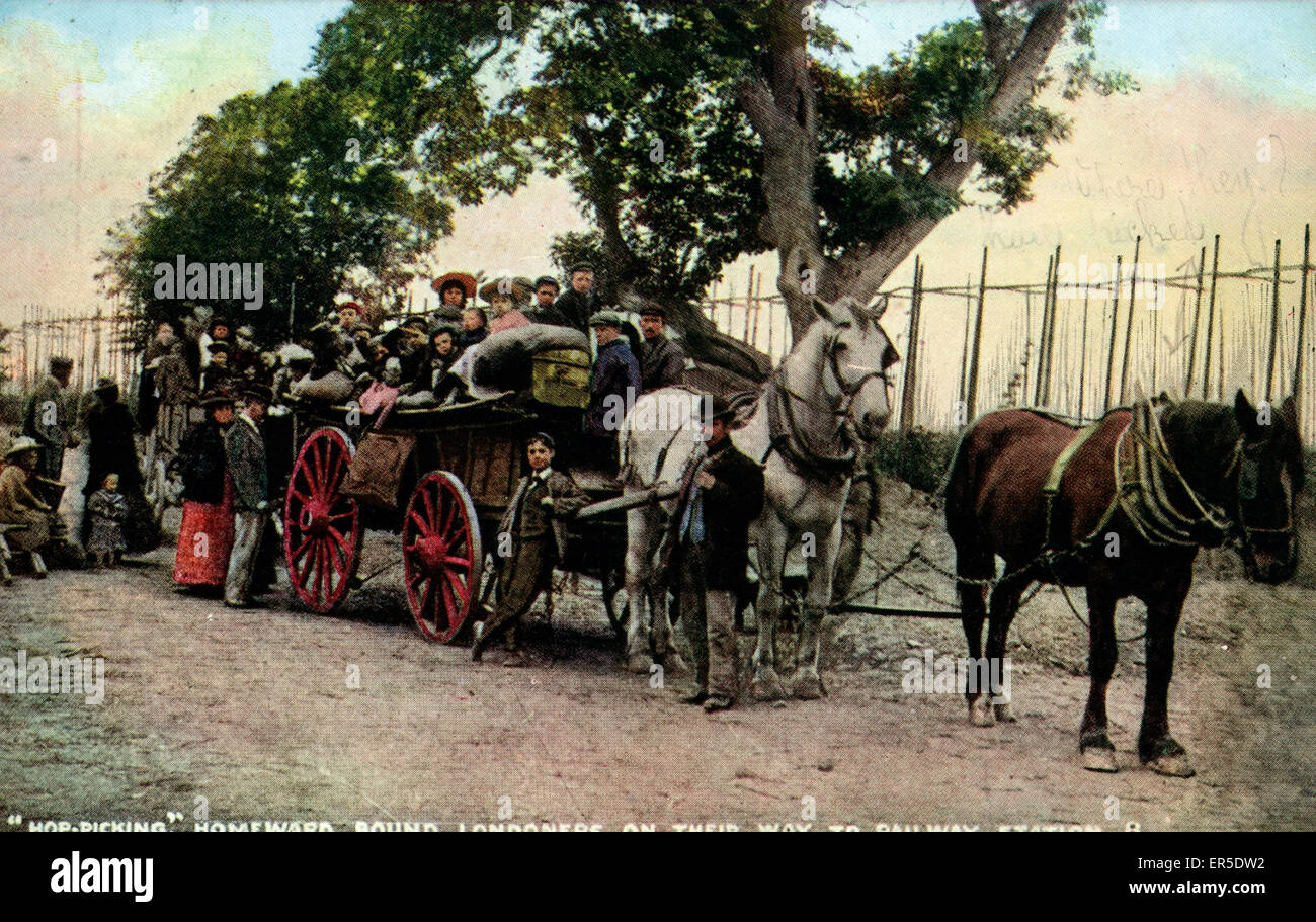 Hop picking kent hi-res stock photography and images - Alamy