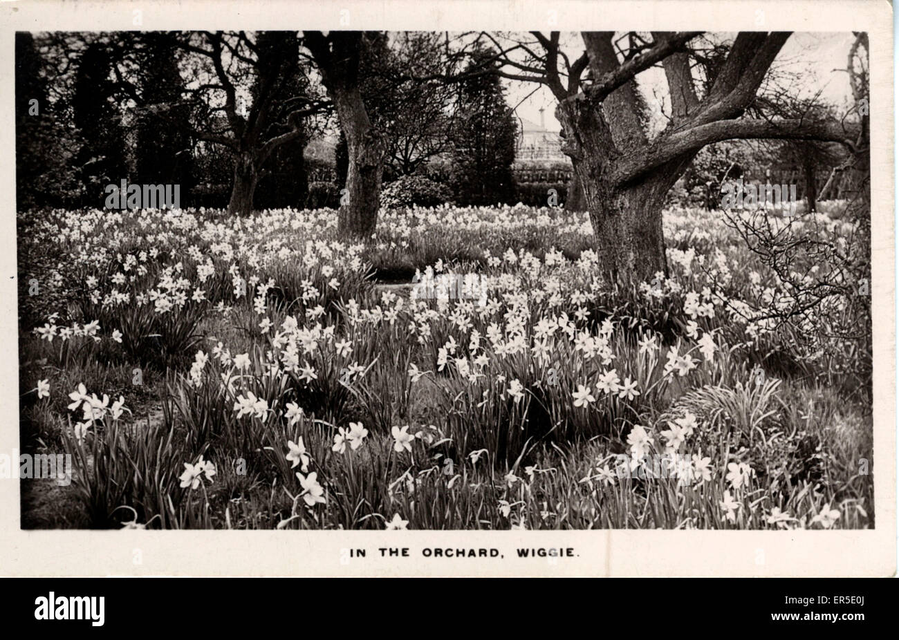 The Orchard, Wiggie, Surrey Stock Photo - Alamy