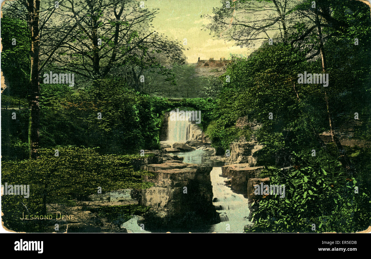 Jesmond Dene, Jesmond, Northumberland Stock Photo - Alamy