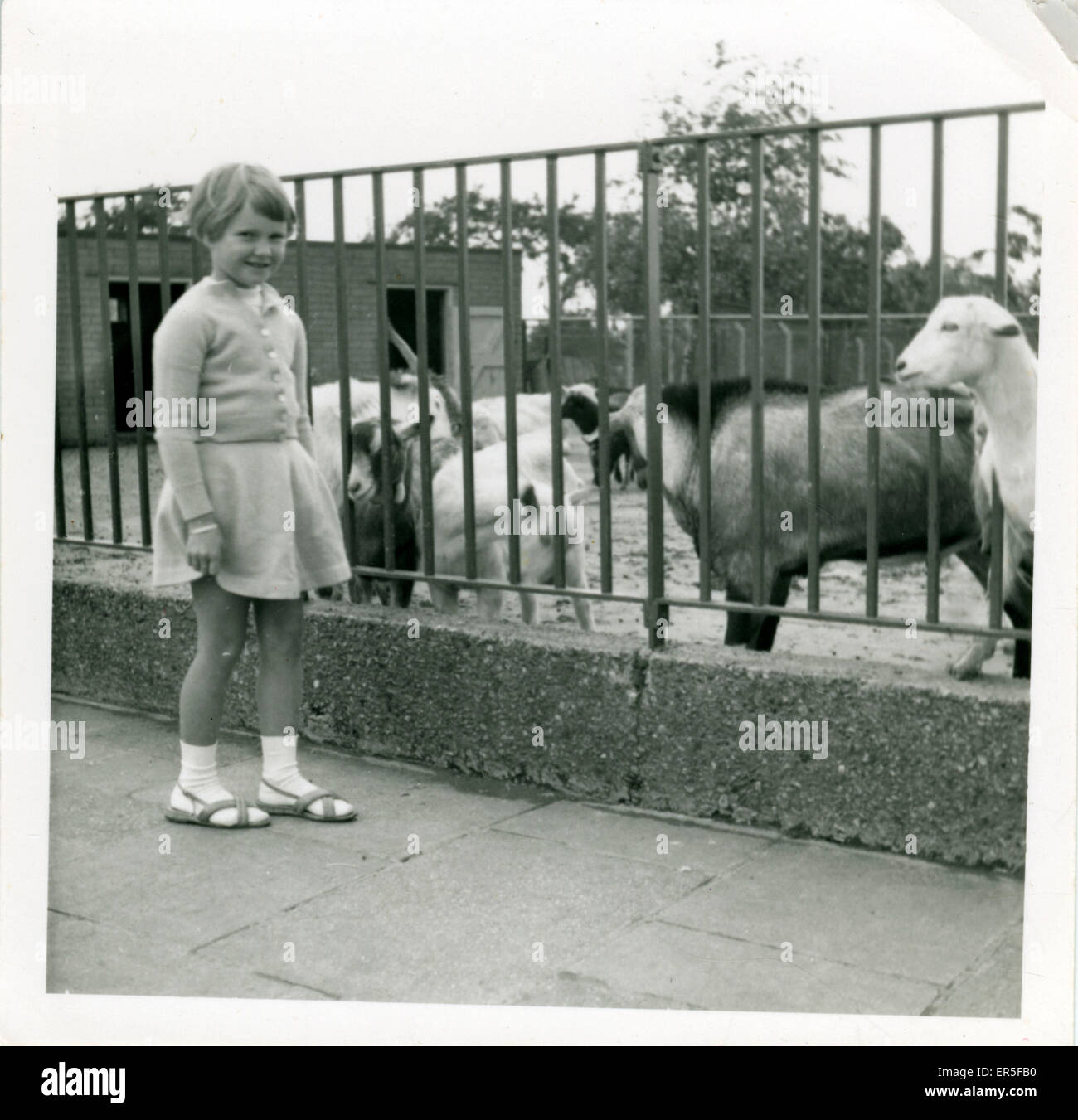 The Zoo, Southampton, Hampshire Stock Photo - Alamy