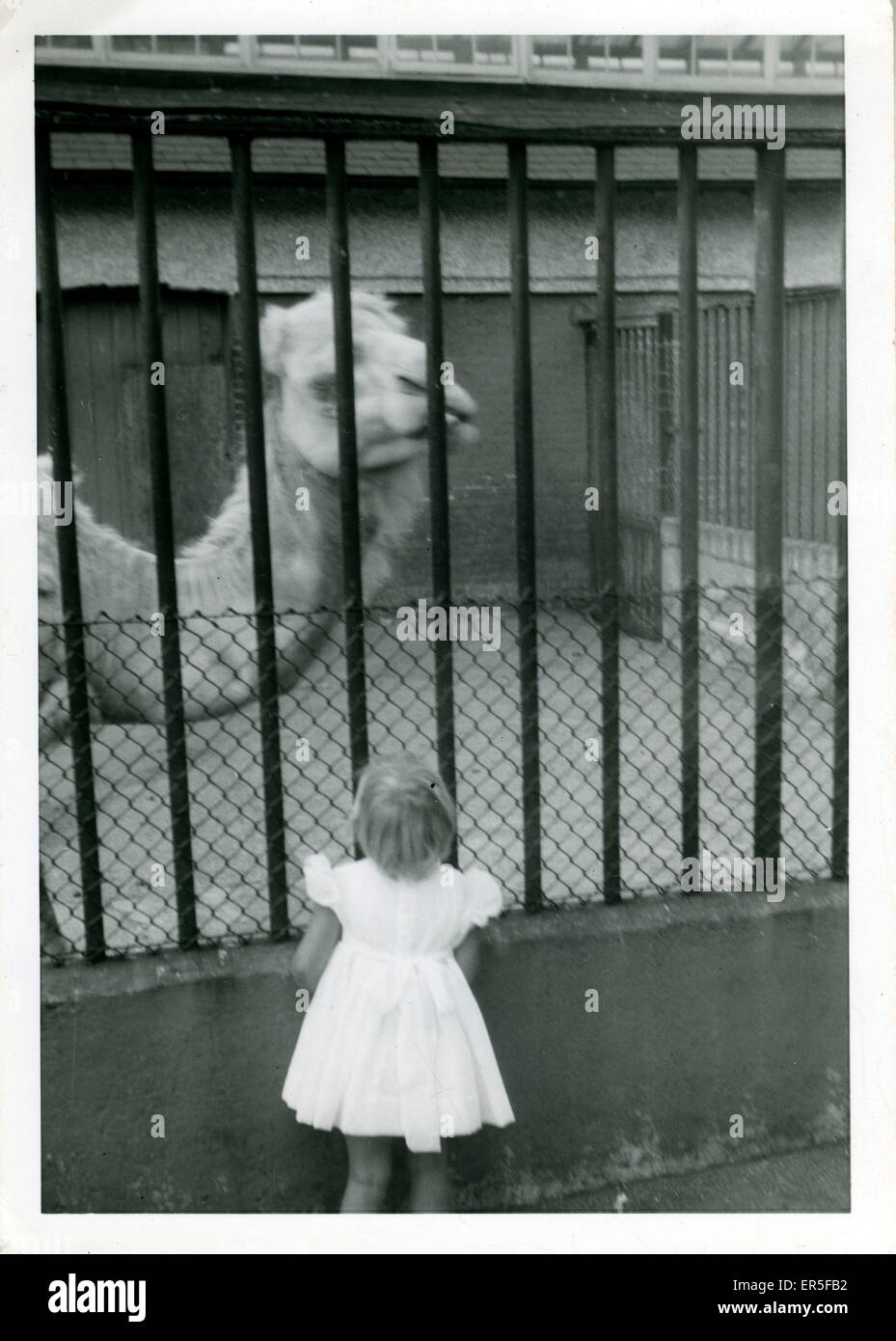 The Zoo, Southampton, Hampshire Stock Photo - Alamy