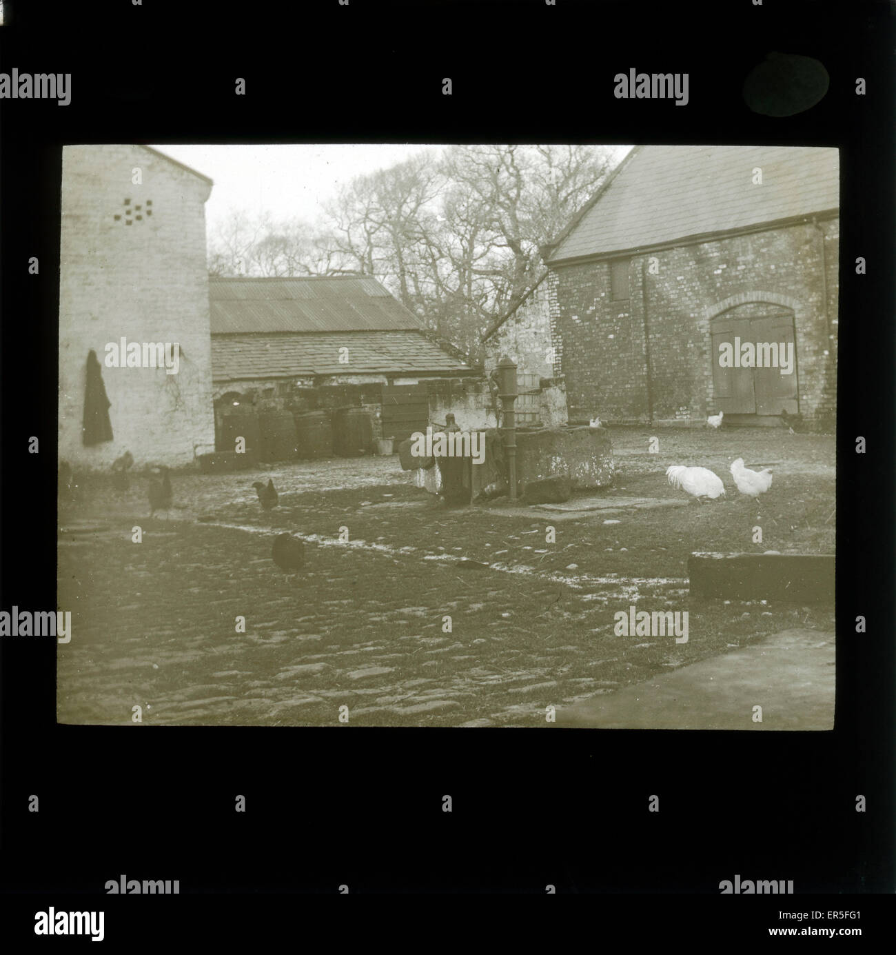 Puddington hi-res stock photography and images - Alamy