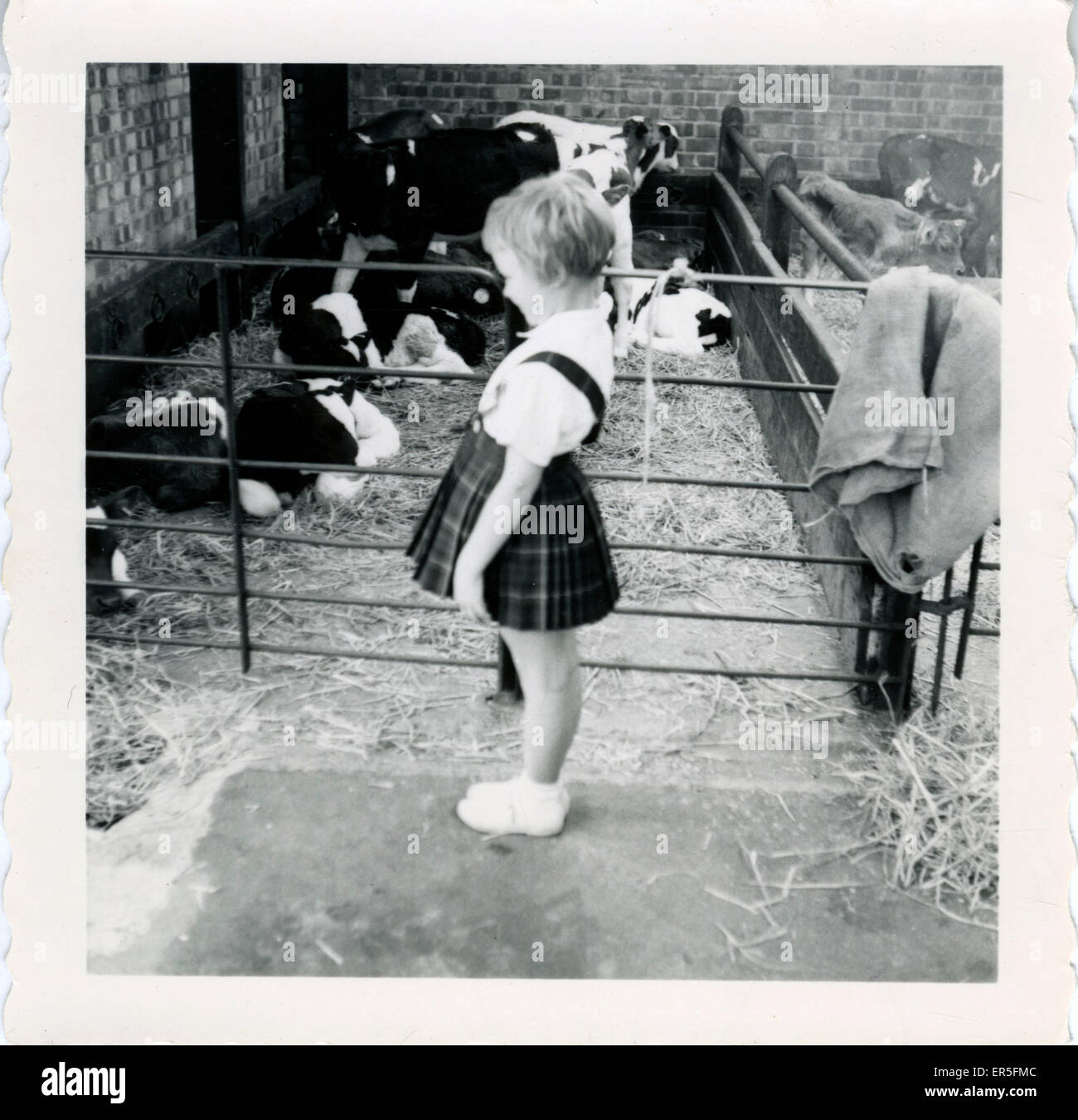 The Zoo, Southampton, Hampshire Stock Photo - Alamy