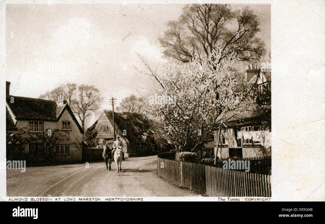 The Village, Long Marston, Hertfordshire Stock Photo - Alamy