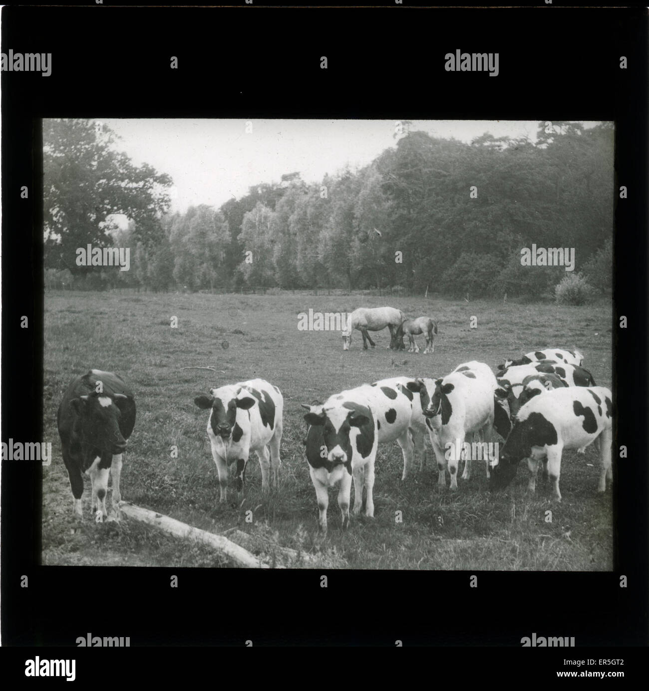 1920s farming hi-res stock photography and images - Alamy